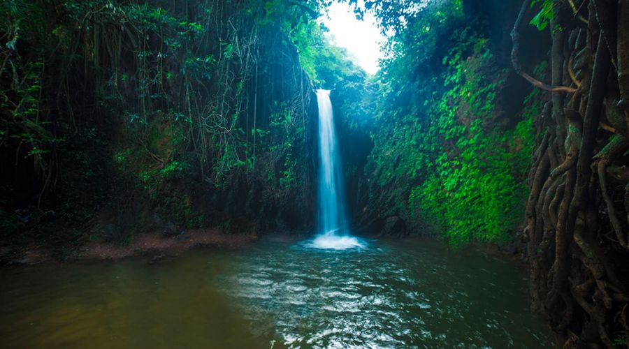 Honnavar Day Out Packages – Honnavar Tourism